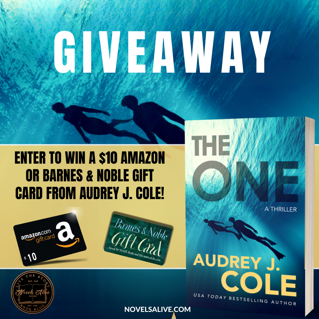 Novels Alive | SPOTLIGHT: THE ONE by Audrey J. Cole Plus Giveaway!