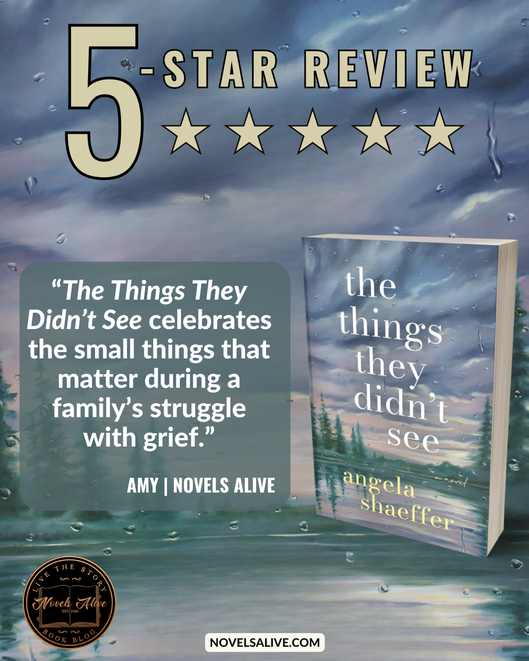 Novels Alive | 5-STAR REVIEW: THE THINGS THEY DIDN'T SEE by Angela Shaeffer